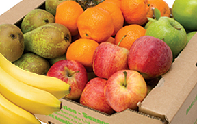 Welcome [www.jaspersonline.co.uk]